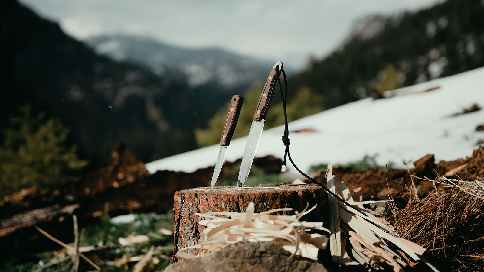 Case Knives | Built with integrity for people of integrity ...