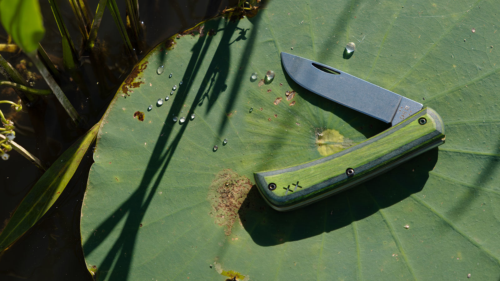 Case Knives | Built with integrity for people of integrity ...