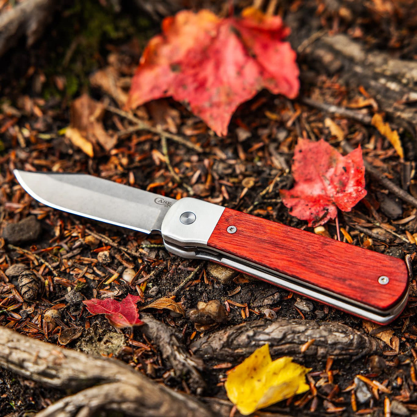 Case® | Smooth Dymalux® Rosewood Longhouse® Knife – caseknives.com